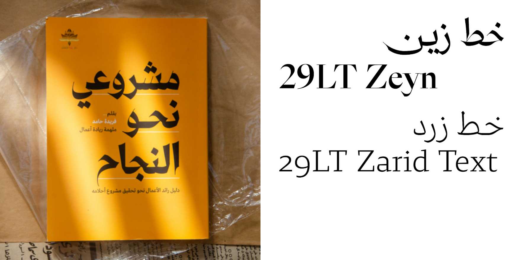 My Business Towards Success by Farida Hamed - Fonts In Use