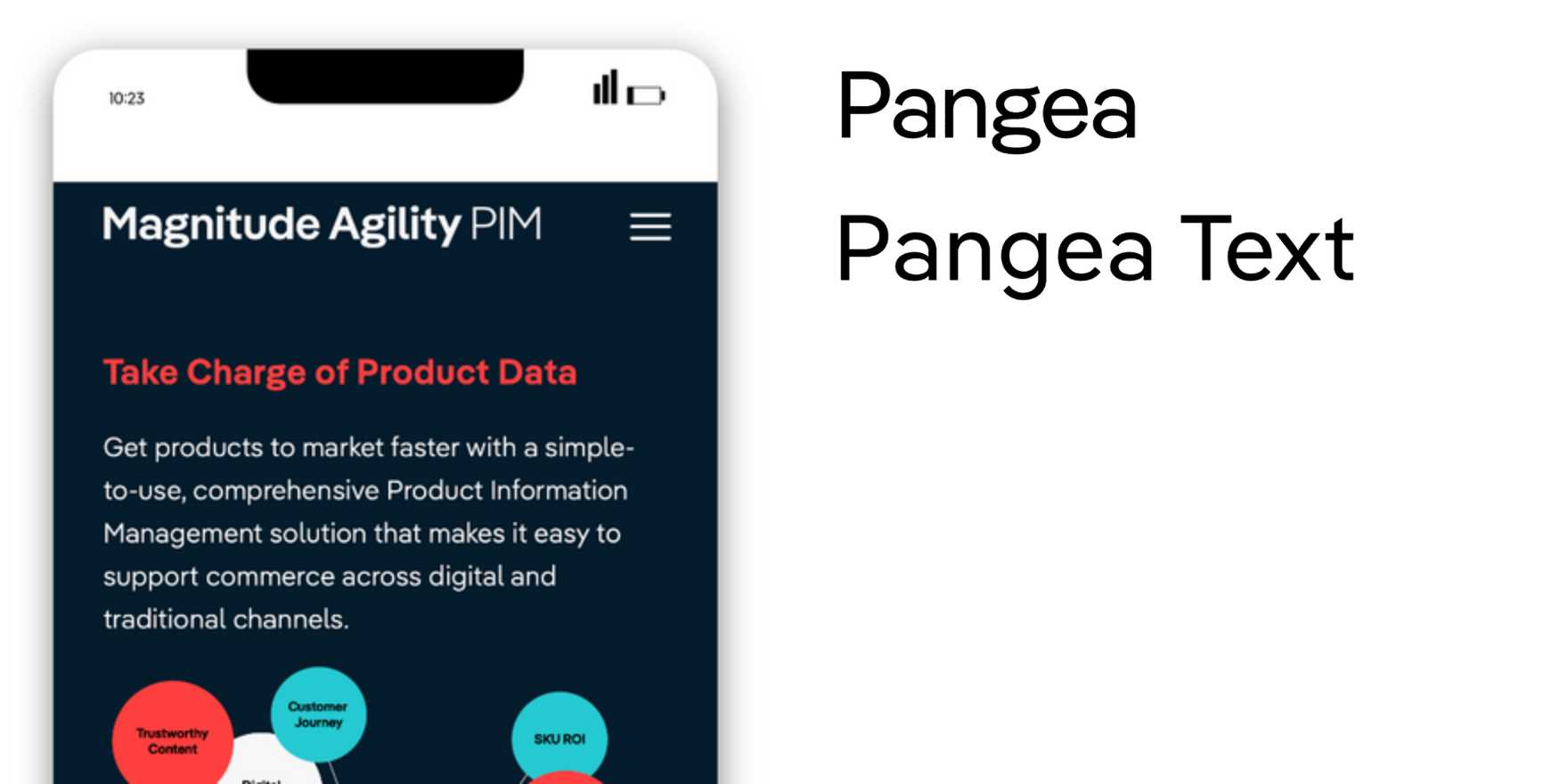 Magnitude branding and website - Fonts In Use