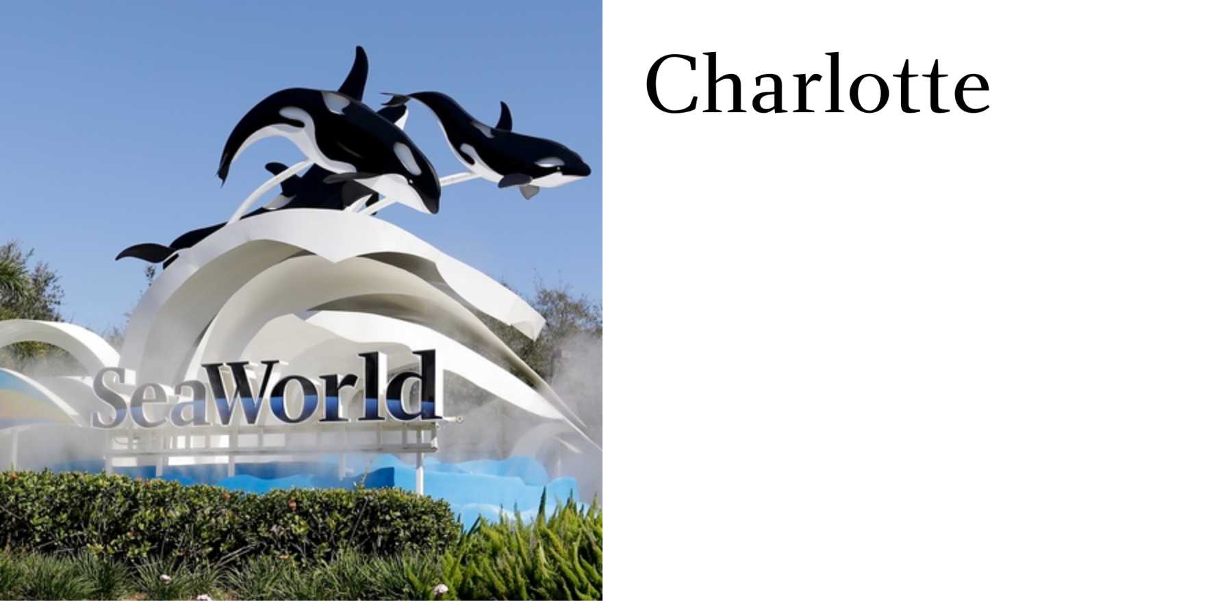 SeaWorld logo (1996–) - Fonts In Use