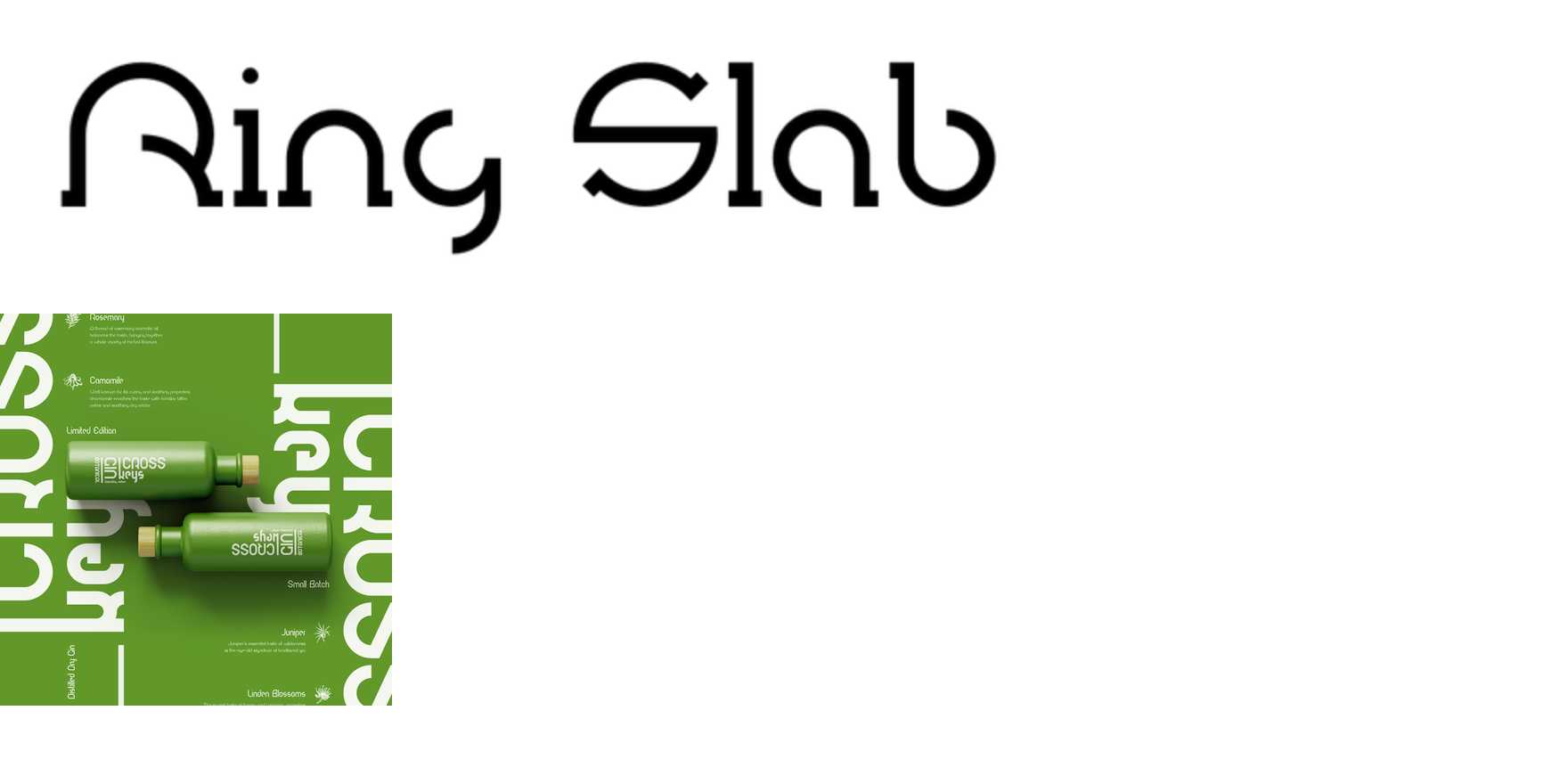 Ring Slab in use - Fonts In Use