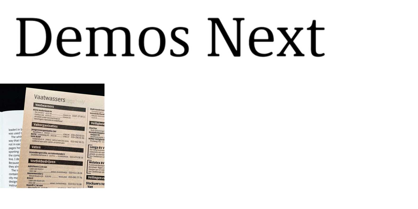 Demos Next in use - Fonts In Use