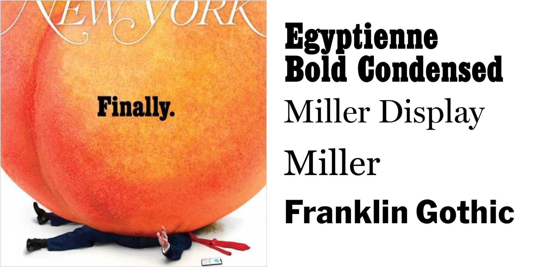 New York magazine (2019–) - Fonts In Use