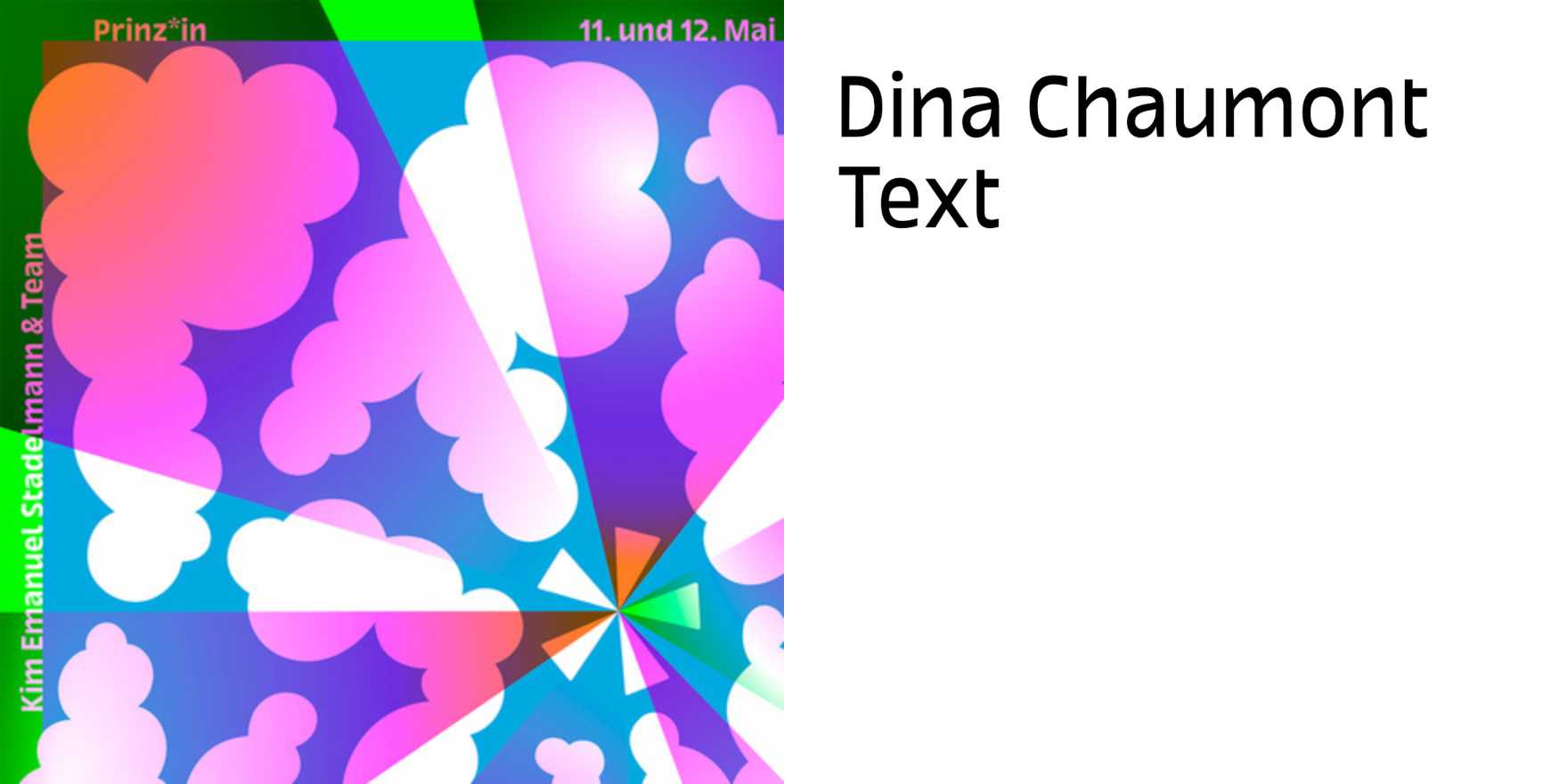 Prinz*in - Fonts In Use