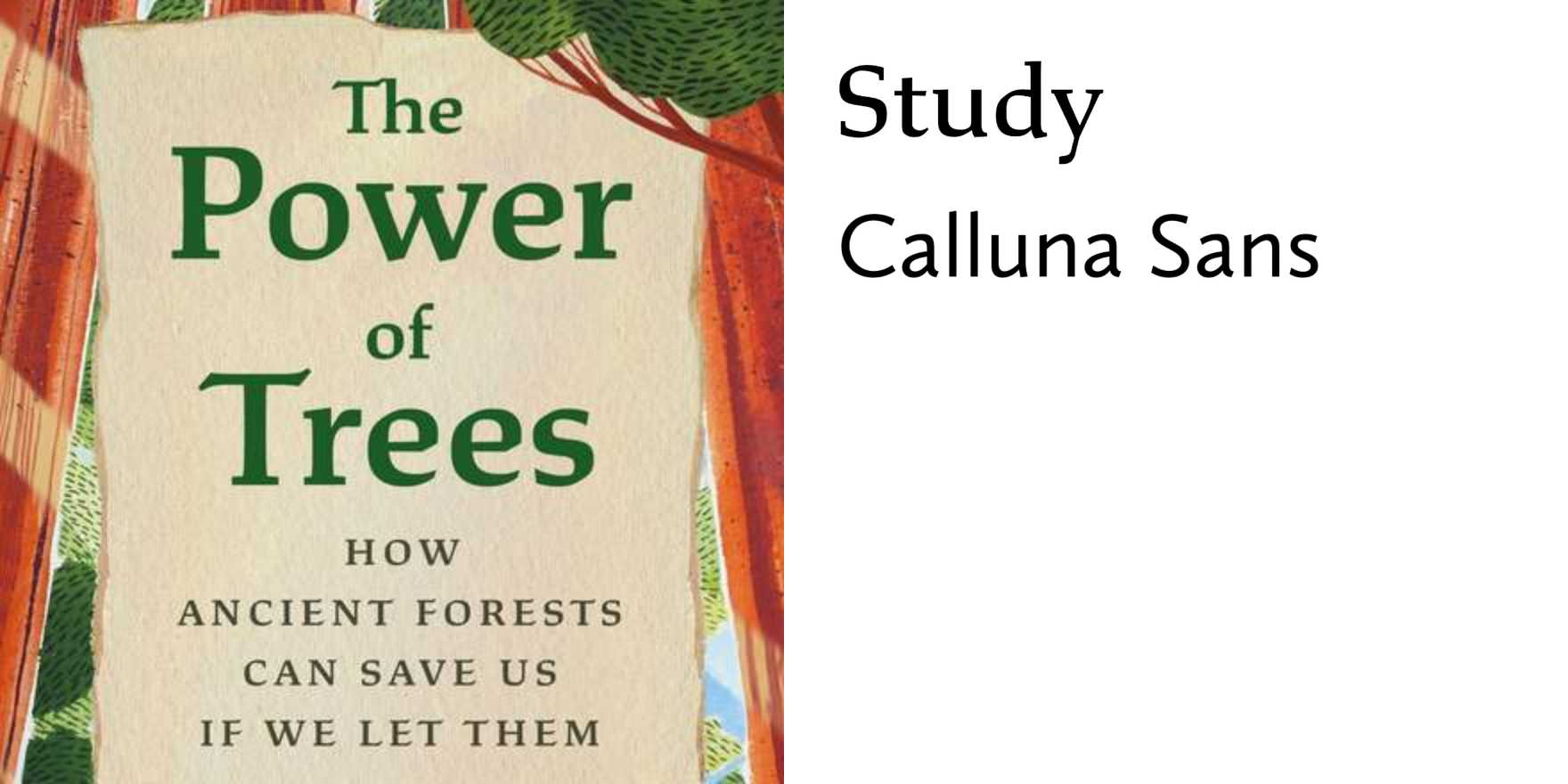 The Power of Trees by Peter Wohlleben - Fonts In Use