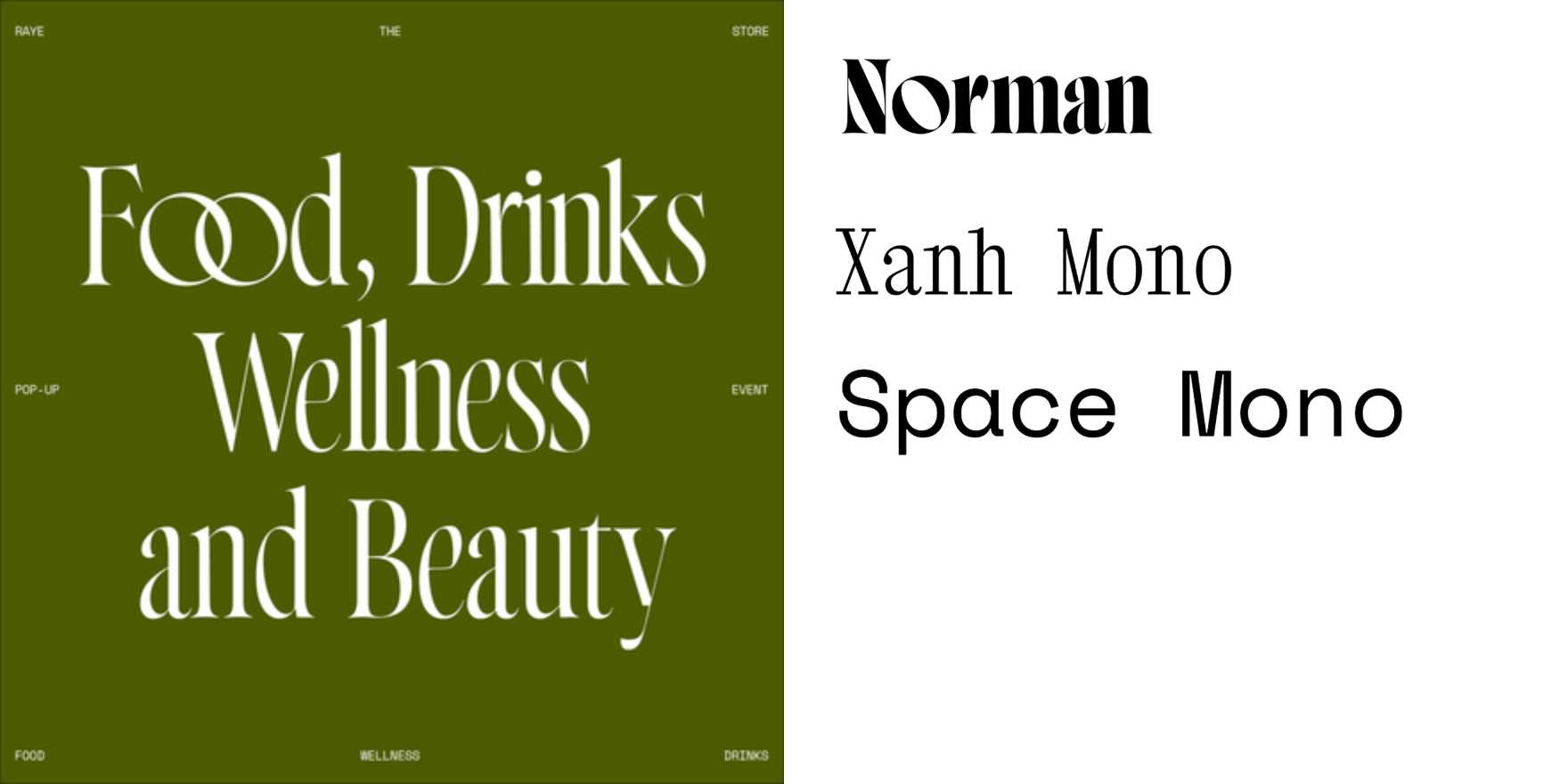 raye the store 07 - Fonts In Use