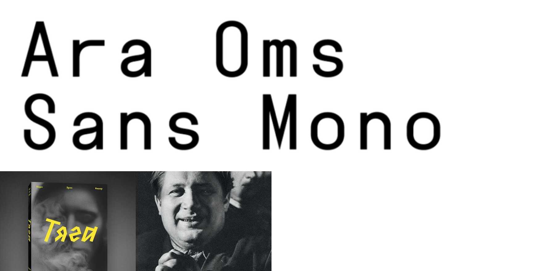 Ara Oms Sans Mono in use - Fonts In Use