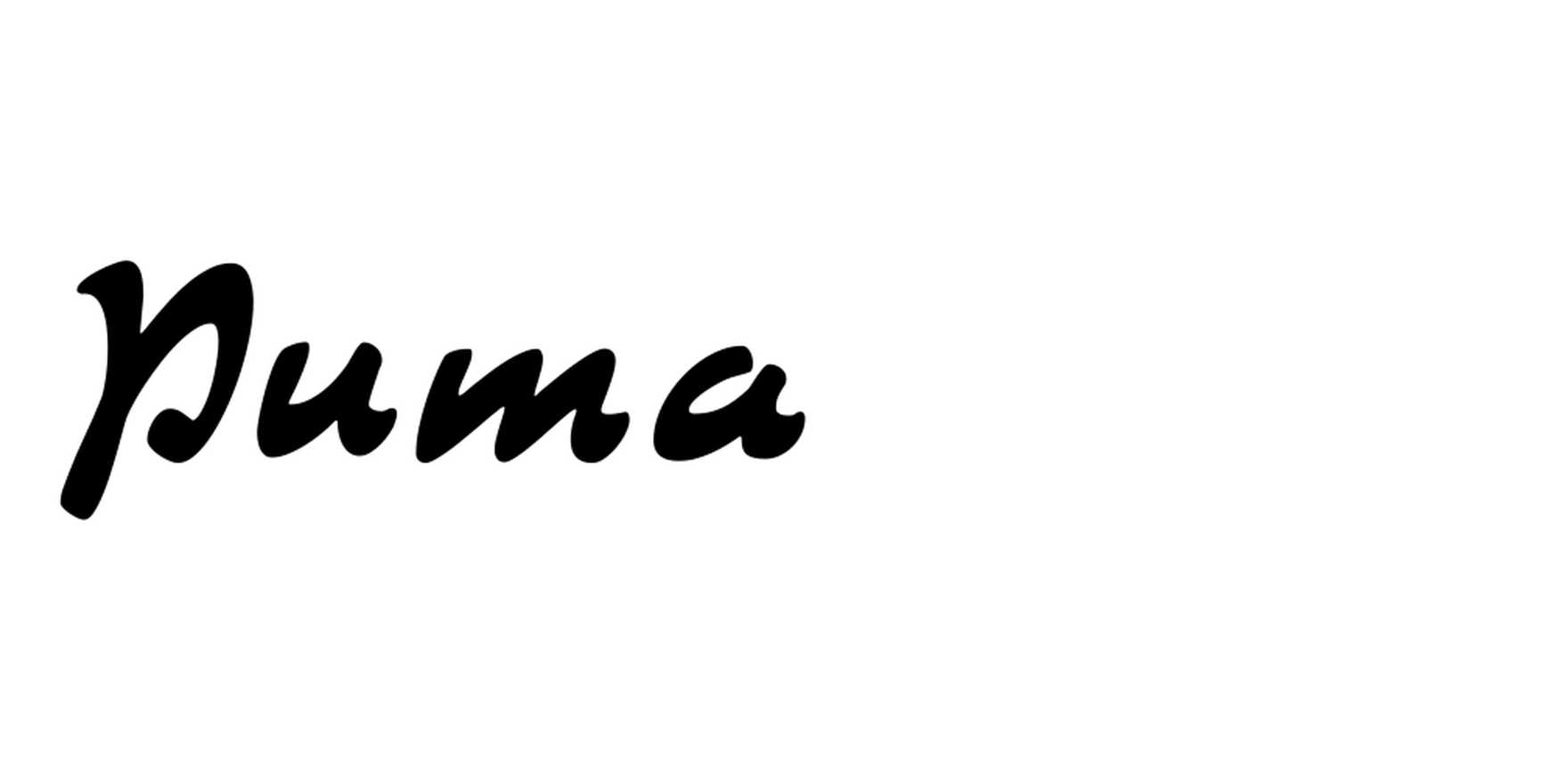Puma in use - Fonts In Use