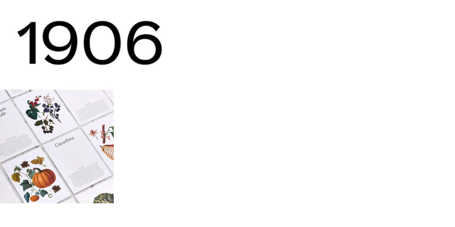 1906 in use - Fonts In Use