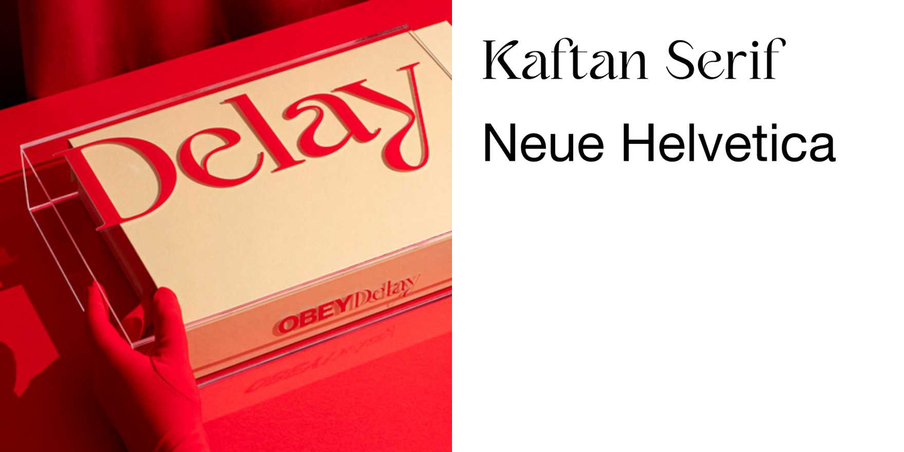 Delay visual identity - Fonts In Use