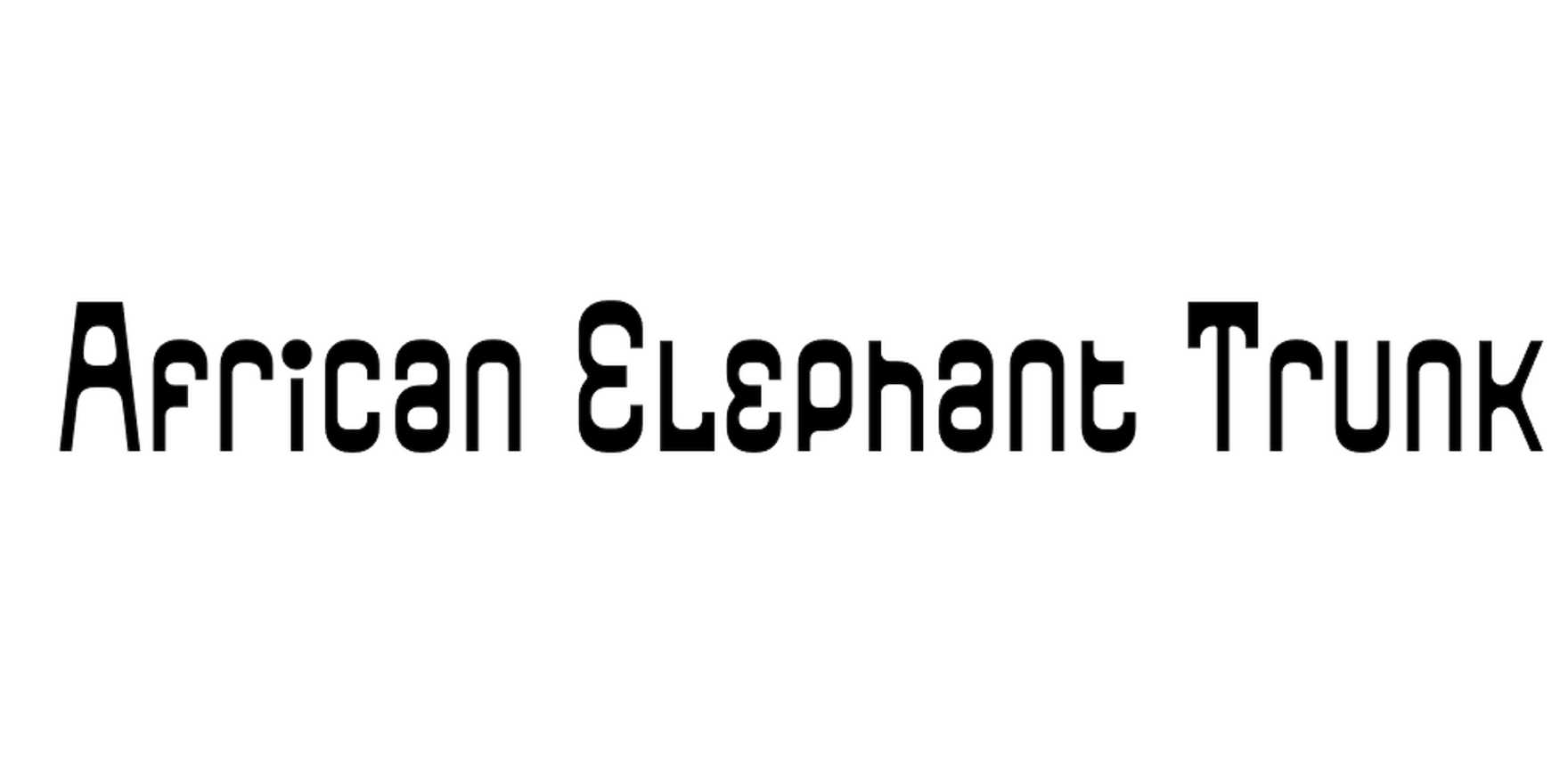 African Elephant Trunk (Dharma Type) in use - Fonts In Use