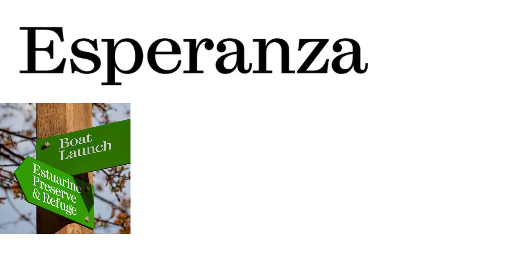 Esperanza in use - Fonts In Use