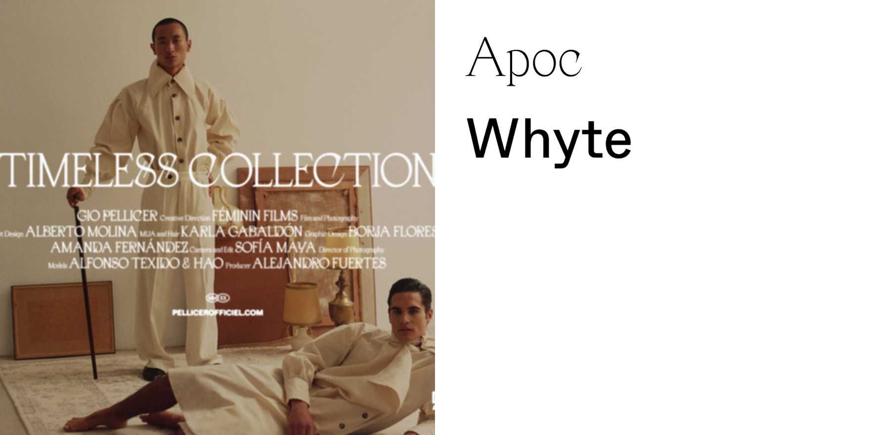 Timeless Collection - Fonts In Use