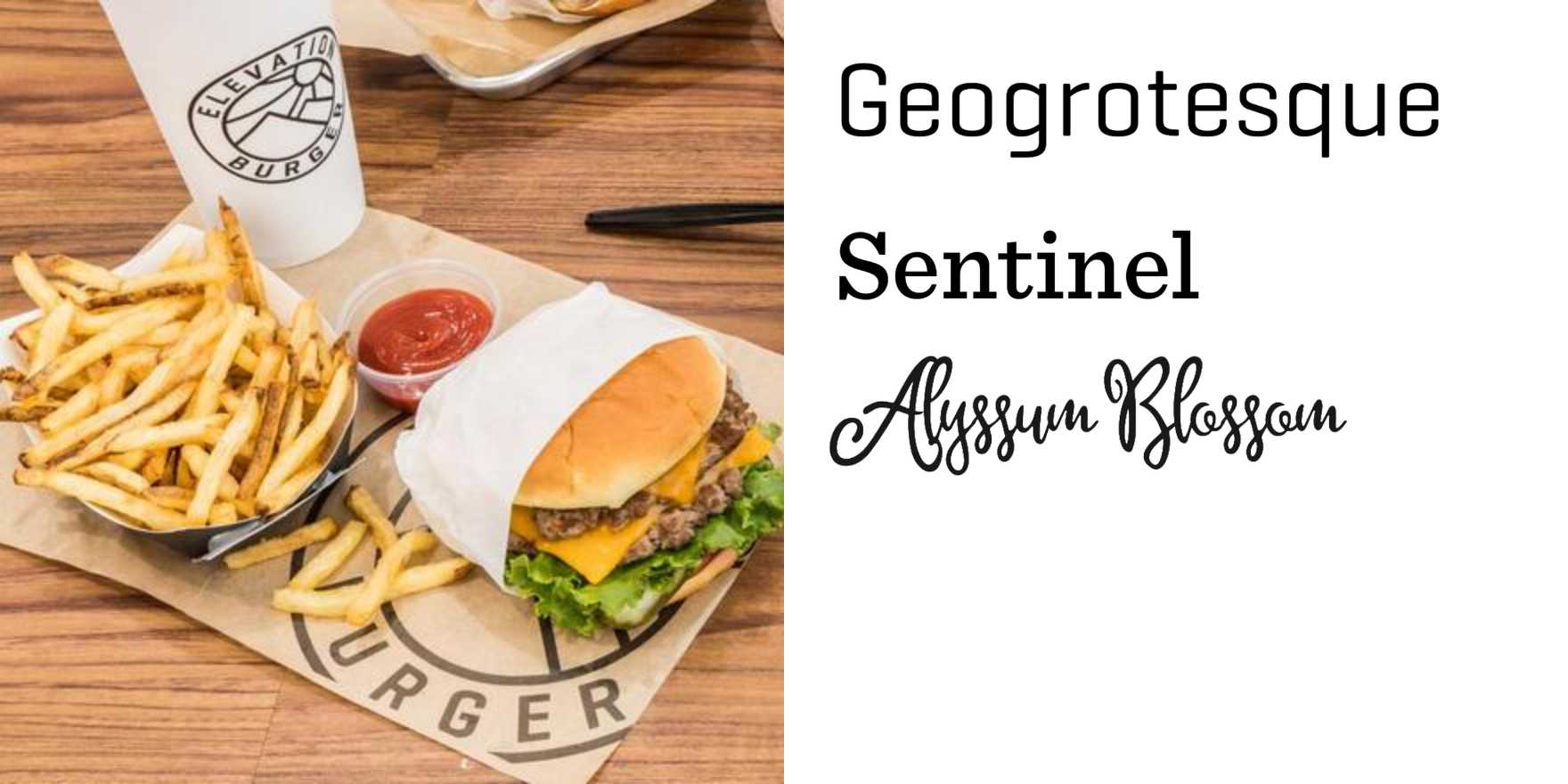 Elevation Burger - Fonts In Use