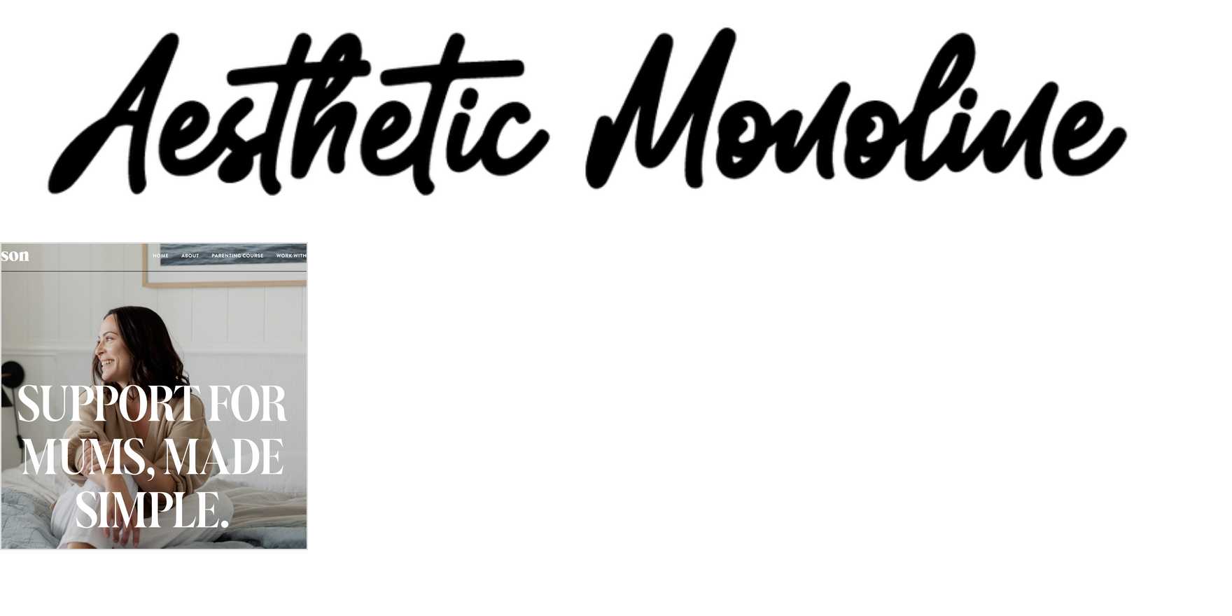 Aesthetic Monoline in use - Fonts In Use