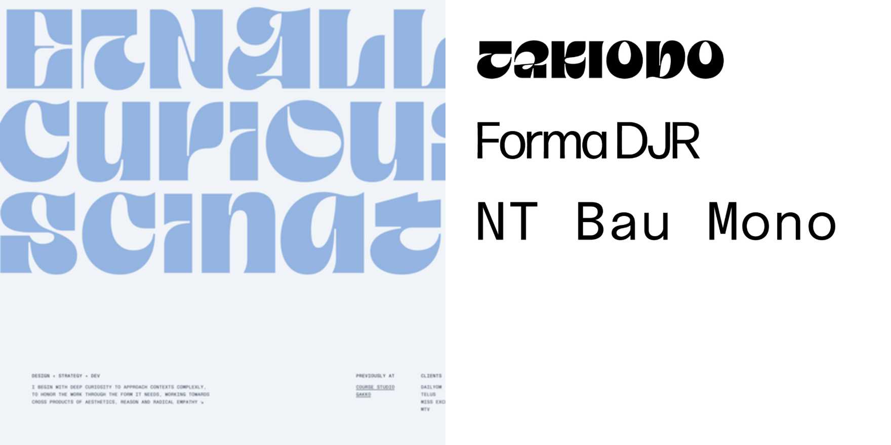 Ali Rasheed portfolio website - Fonts In Use