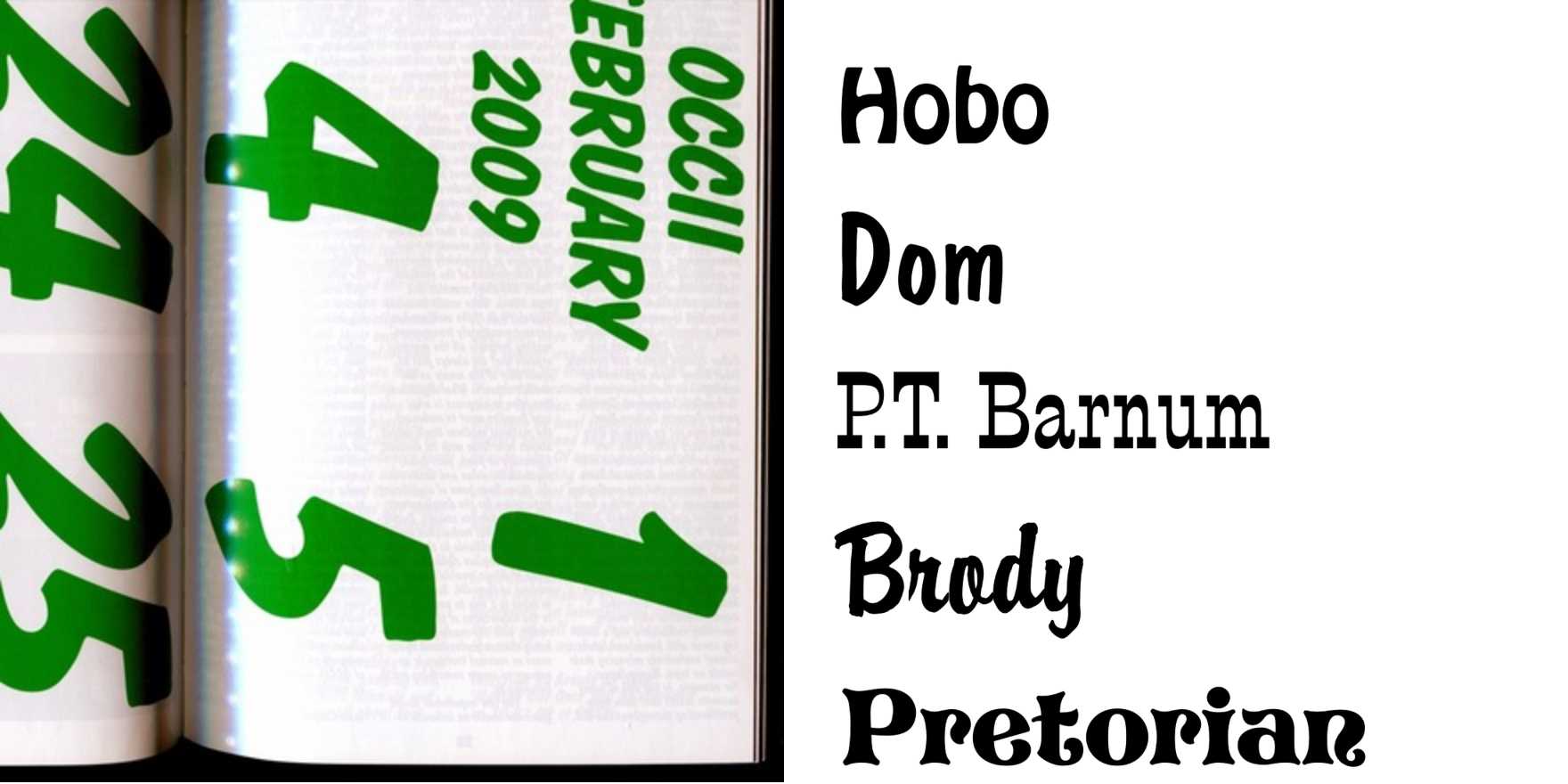 OCCII 2009 yearbook and posters - Fonts In Use