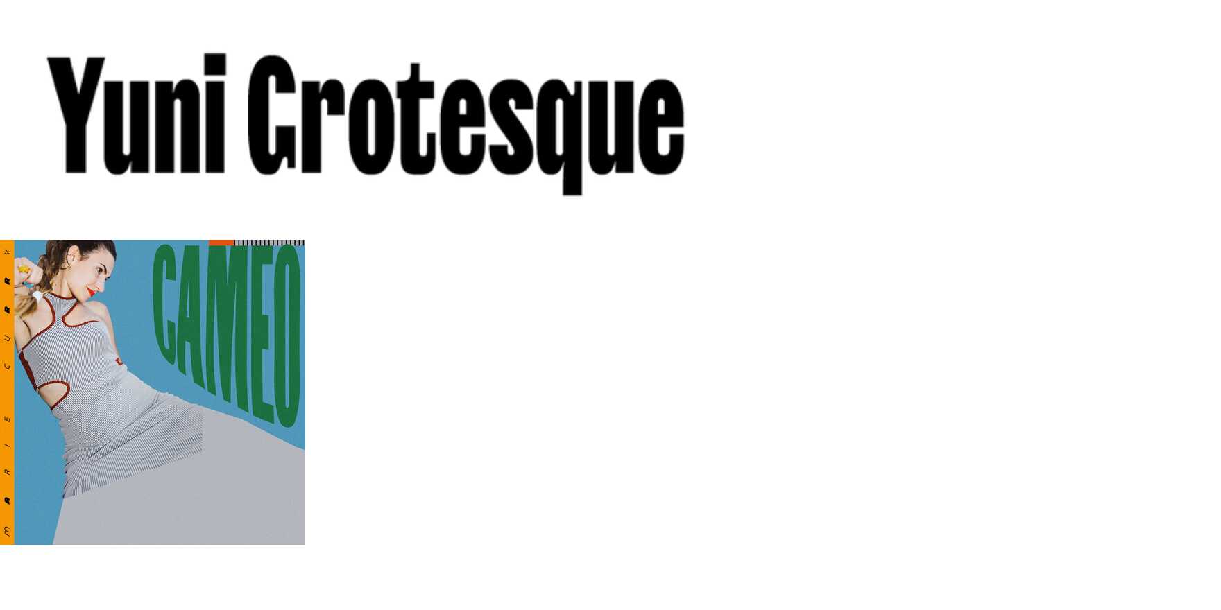 Yuni Grotesque in use - Fonts In Use