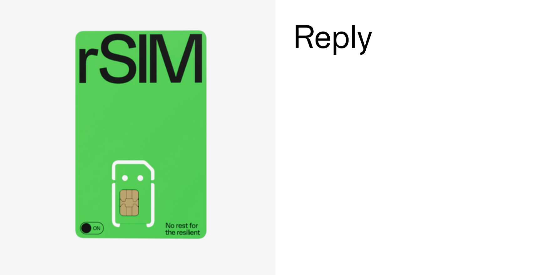 rSIM identity - Fonts In Use