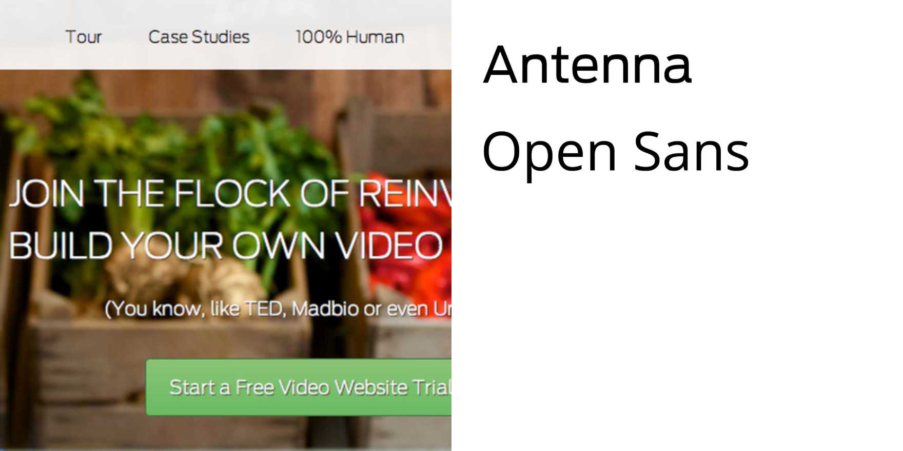 23 Video - Fonts In Use
