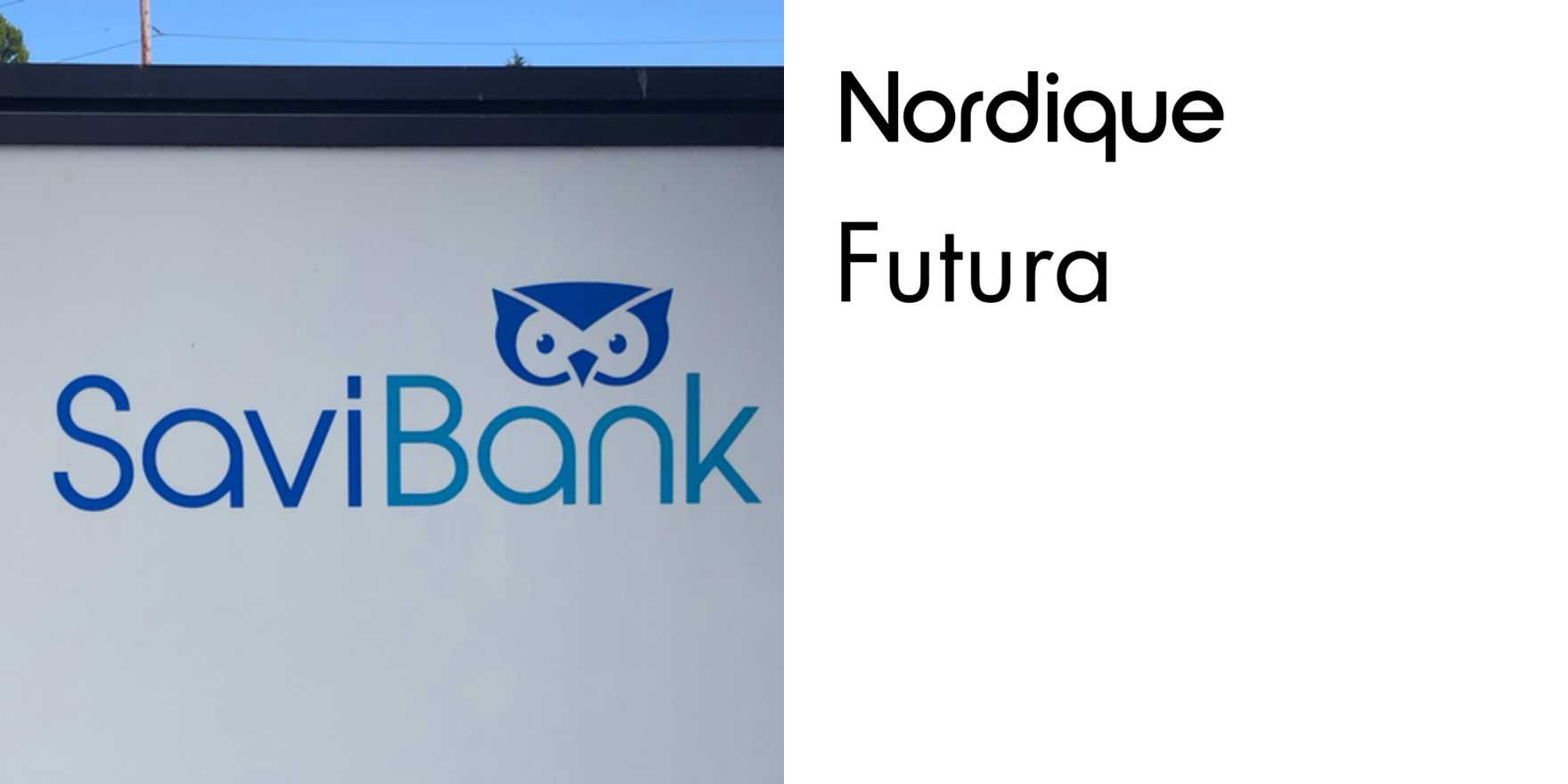 SaviBank logo - Fonts In Use