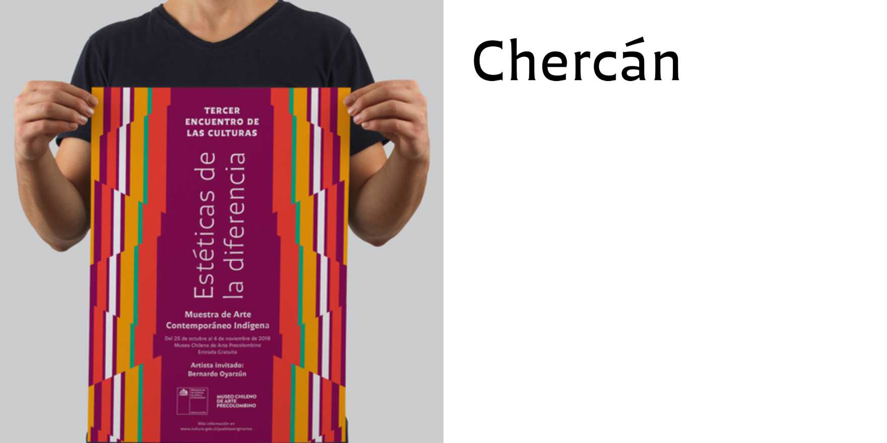 Chilean indigenous language revitalization program - Fonts In Use