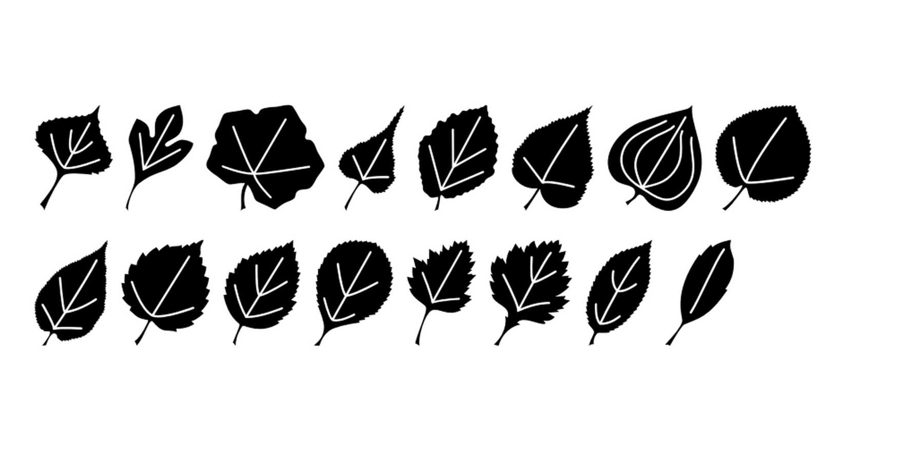 Leaf Assortment in use - Fonts In Use