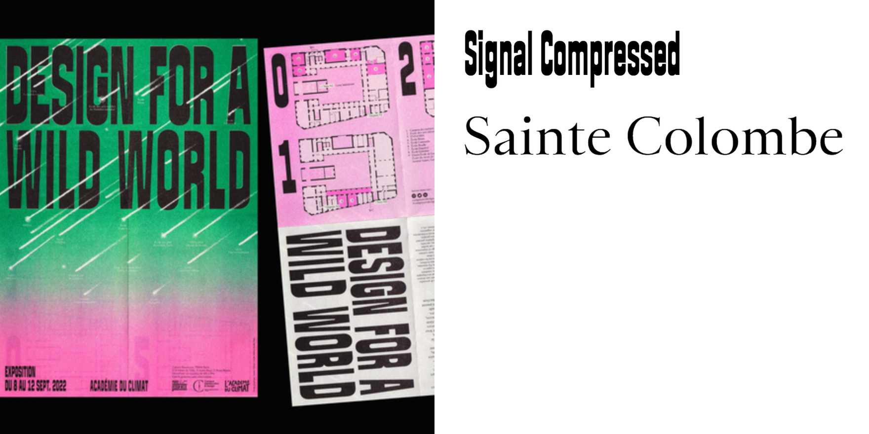 Design for a Wild World - Fonts In Use