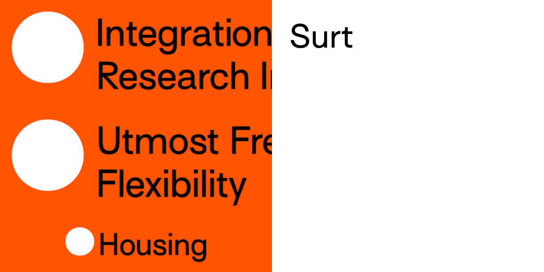 Hamburg Institute for Advanced Study (HIAS) website - Fonts In Use