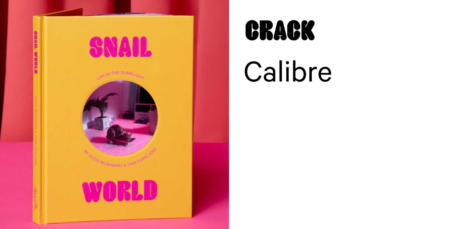 Snail World and Snail World 2 by Aleia Murawski & Sam Copeland - Fonts In Use