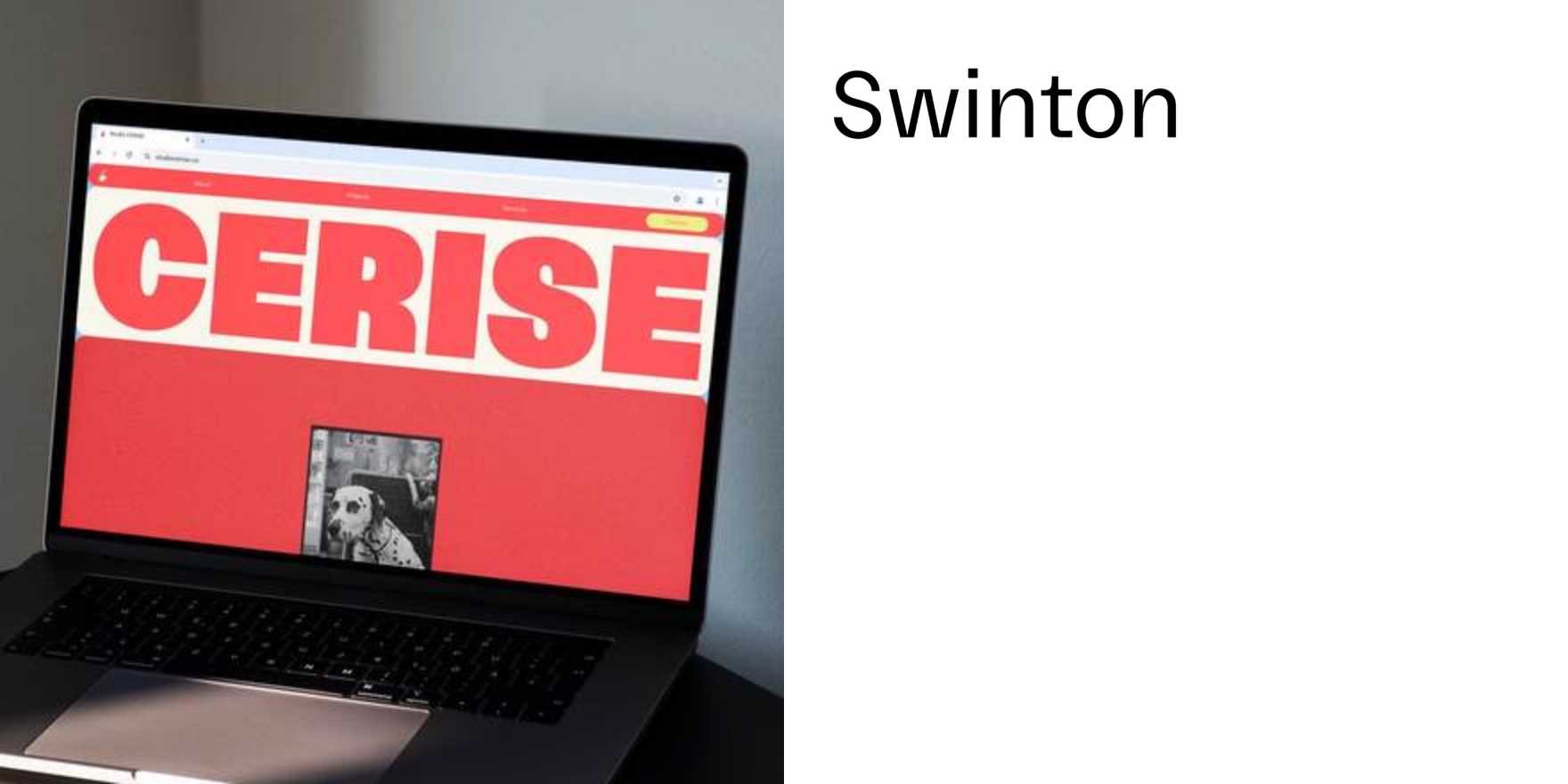 Studio Cerise - Fonts In Use