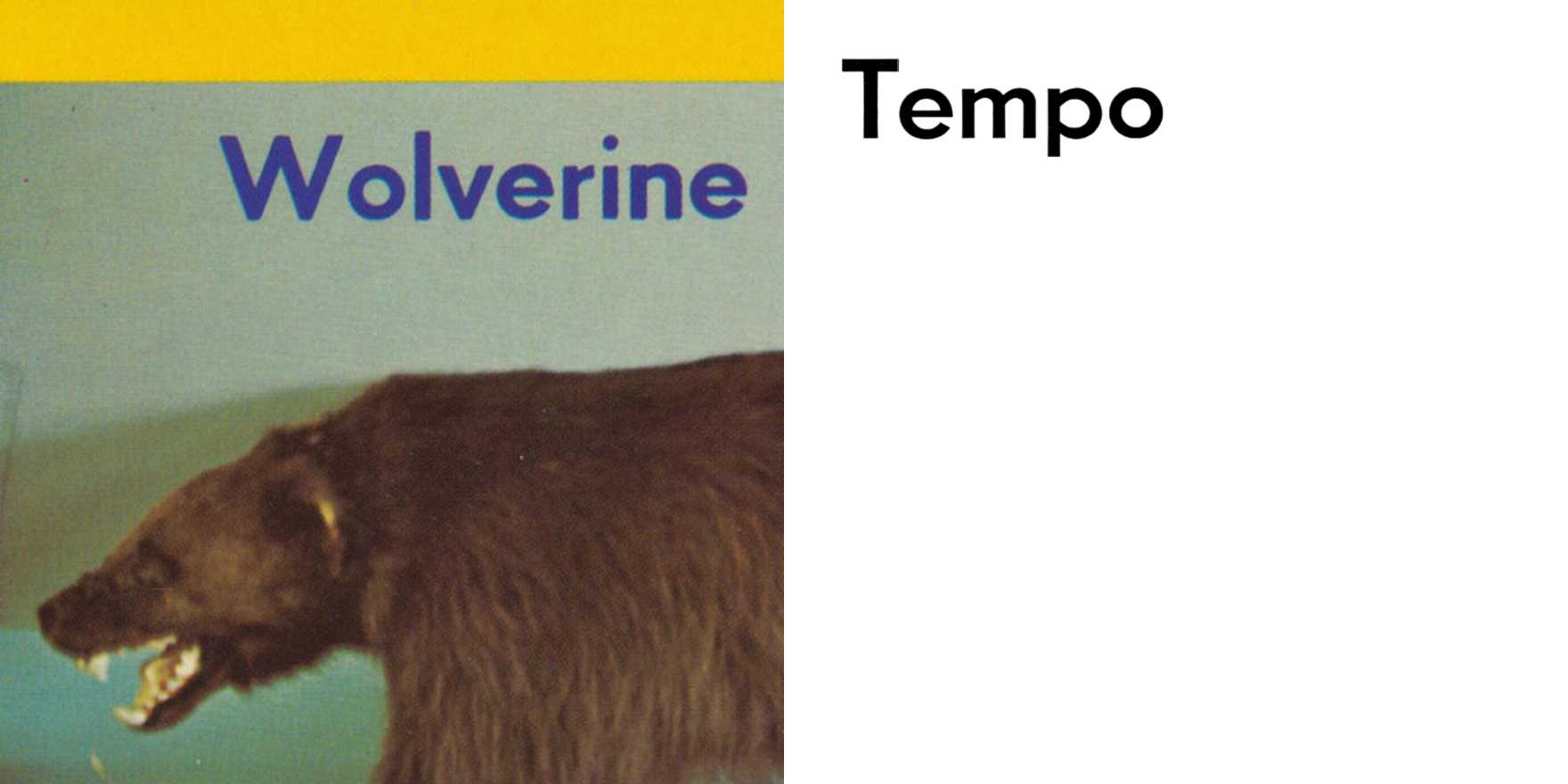 Wolverine Post Card Club postcard - Fonts In Use