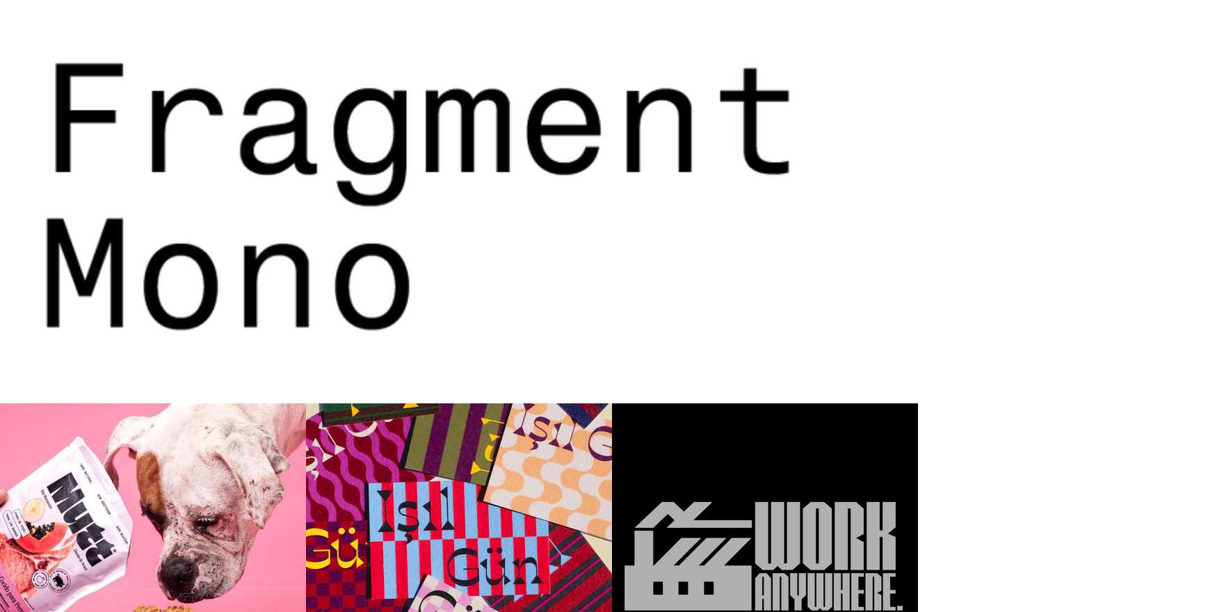 Fragment Mono in use - Fonts In Use