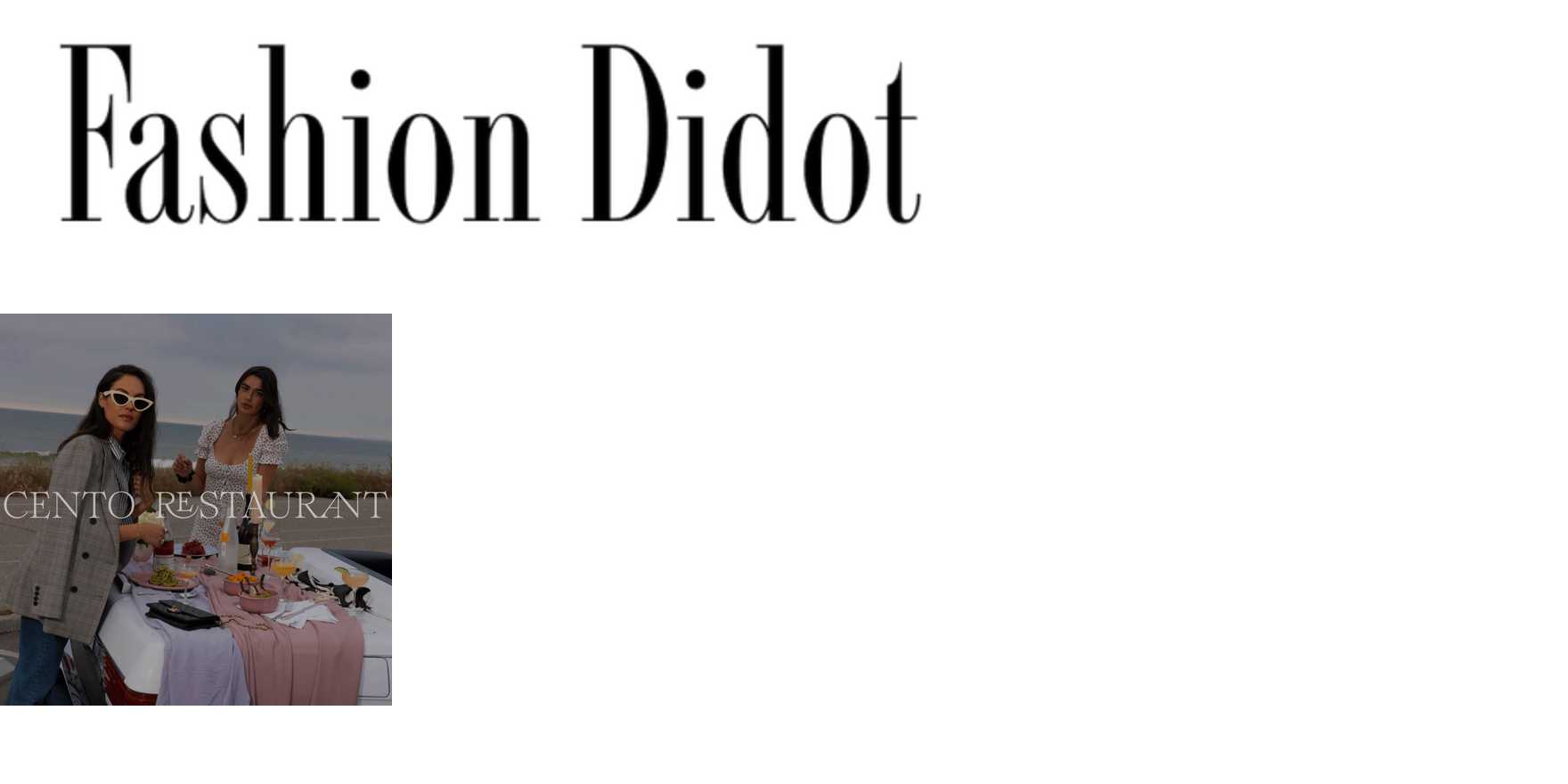 Fashion Didot in use - Fonts In Use