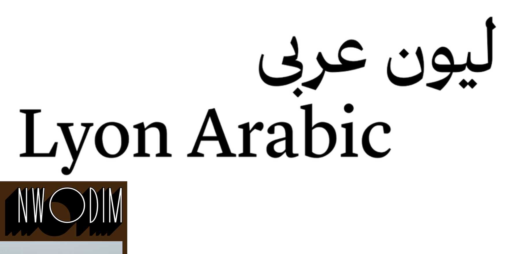 Lyon Arabic in use - Fonts In Use