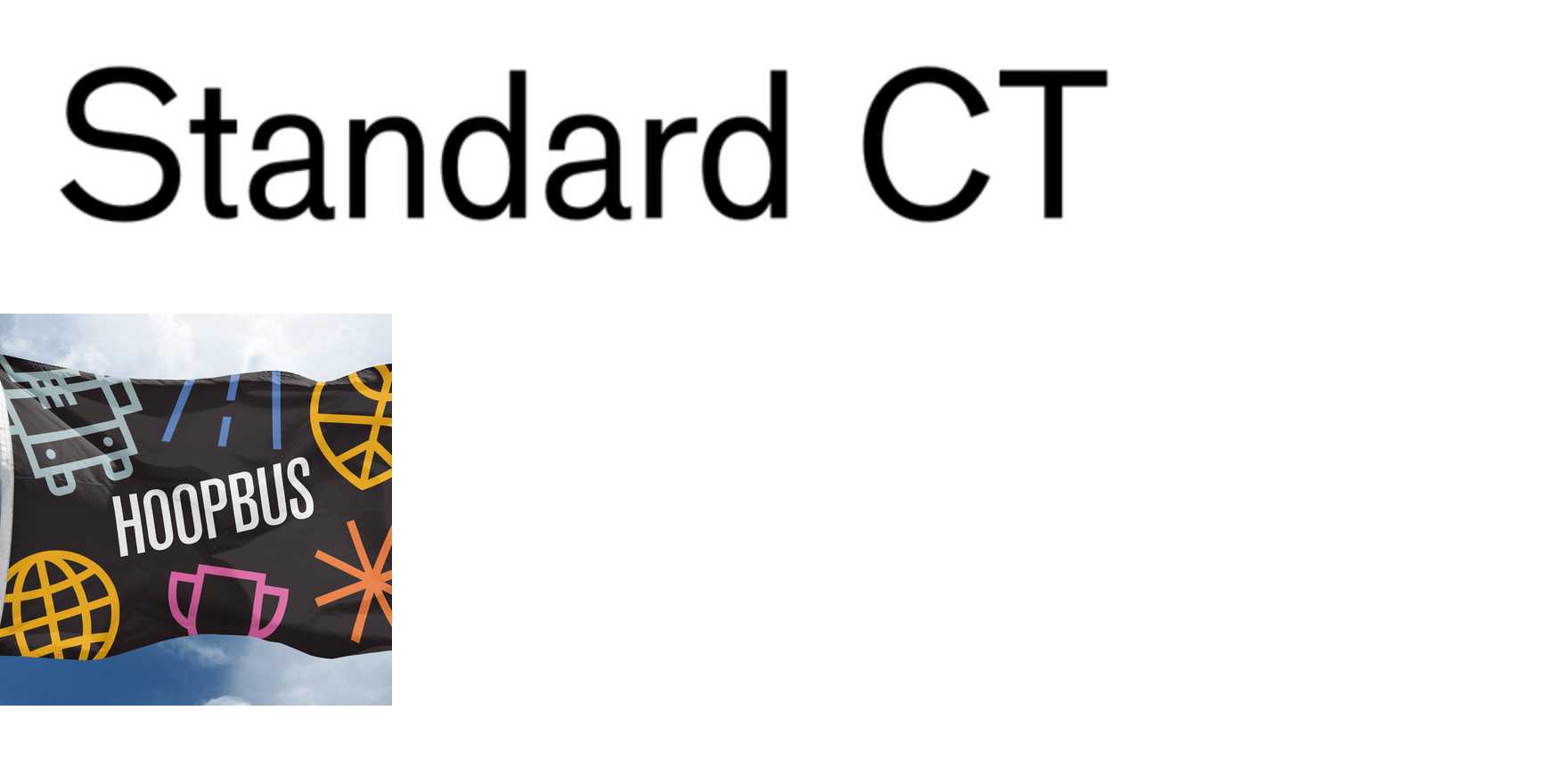 Standard CT in use - Fonts In Use