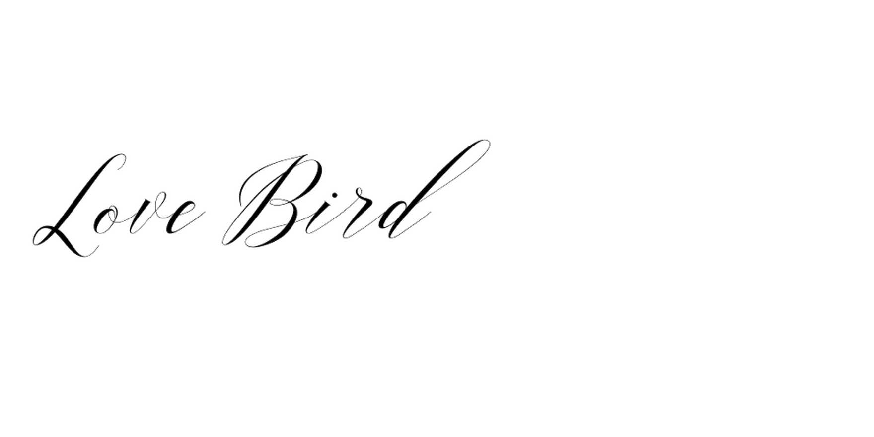 Love Bird in use - Fonts In Use