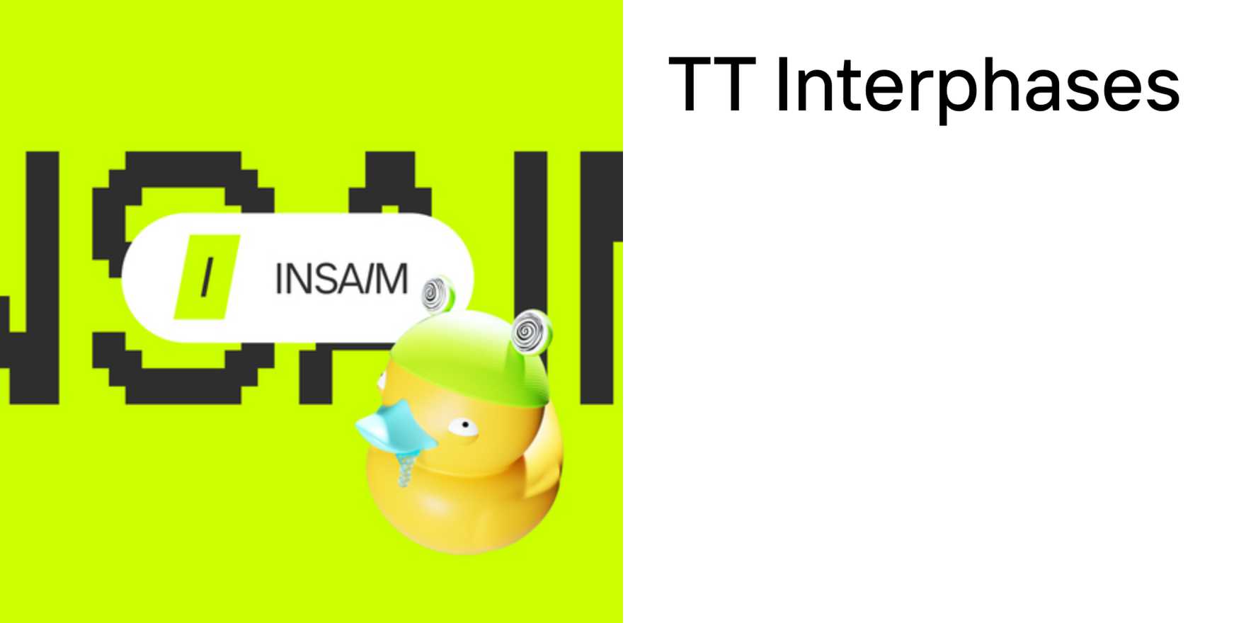 Insaim portfolio website - Fonts In Use