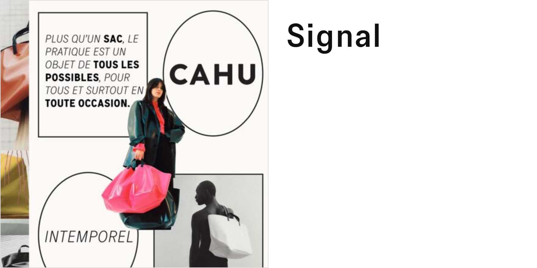 CAHU website and social media - Fonts In Use