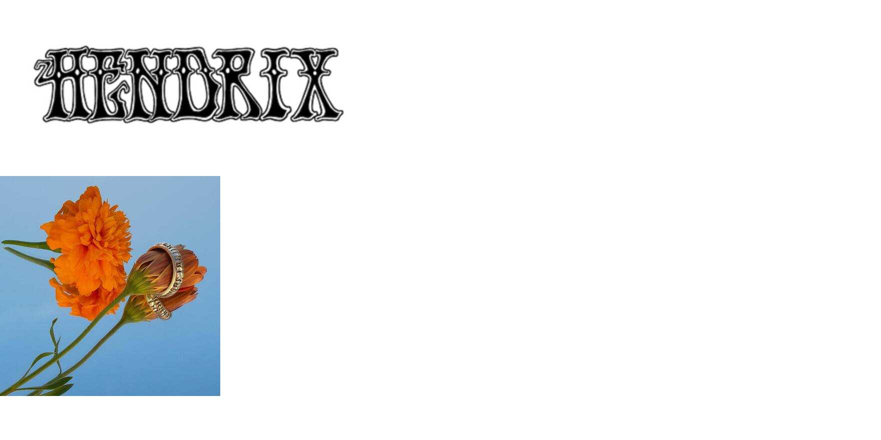 Hendrix in use - Fonts In Use