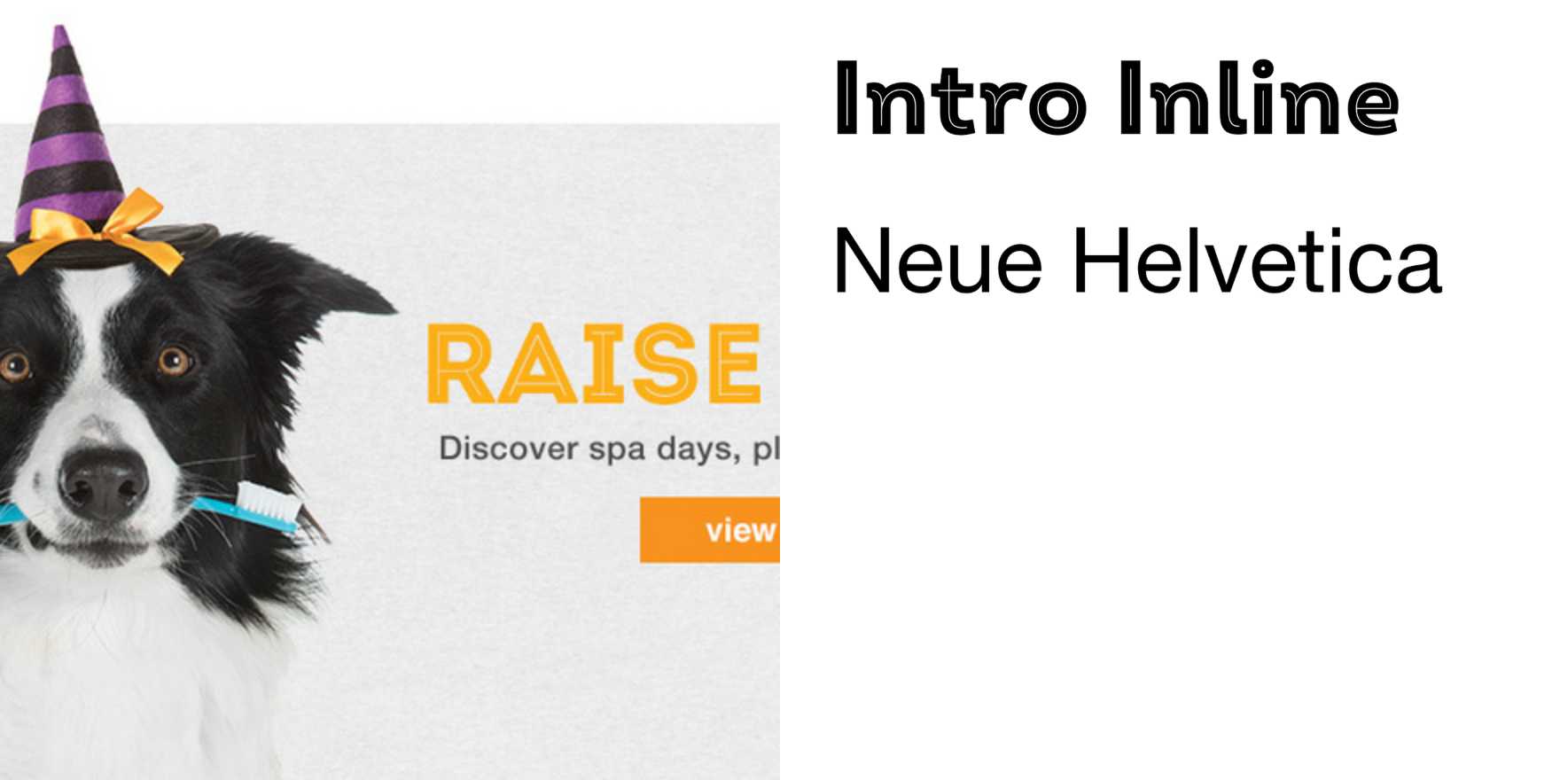 PetSmart Halloween Specials - Fonts In Use