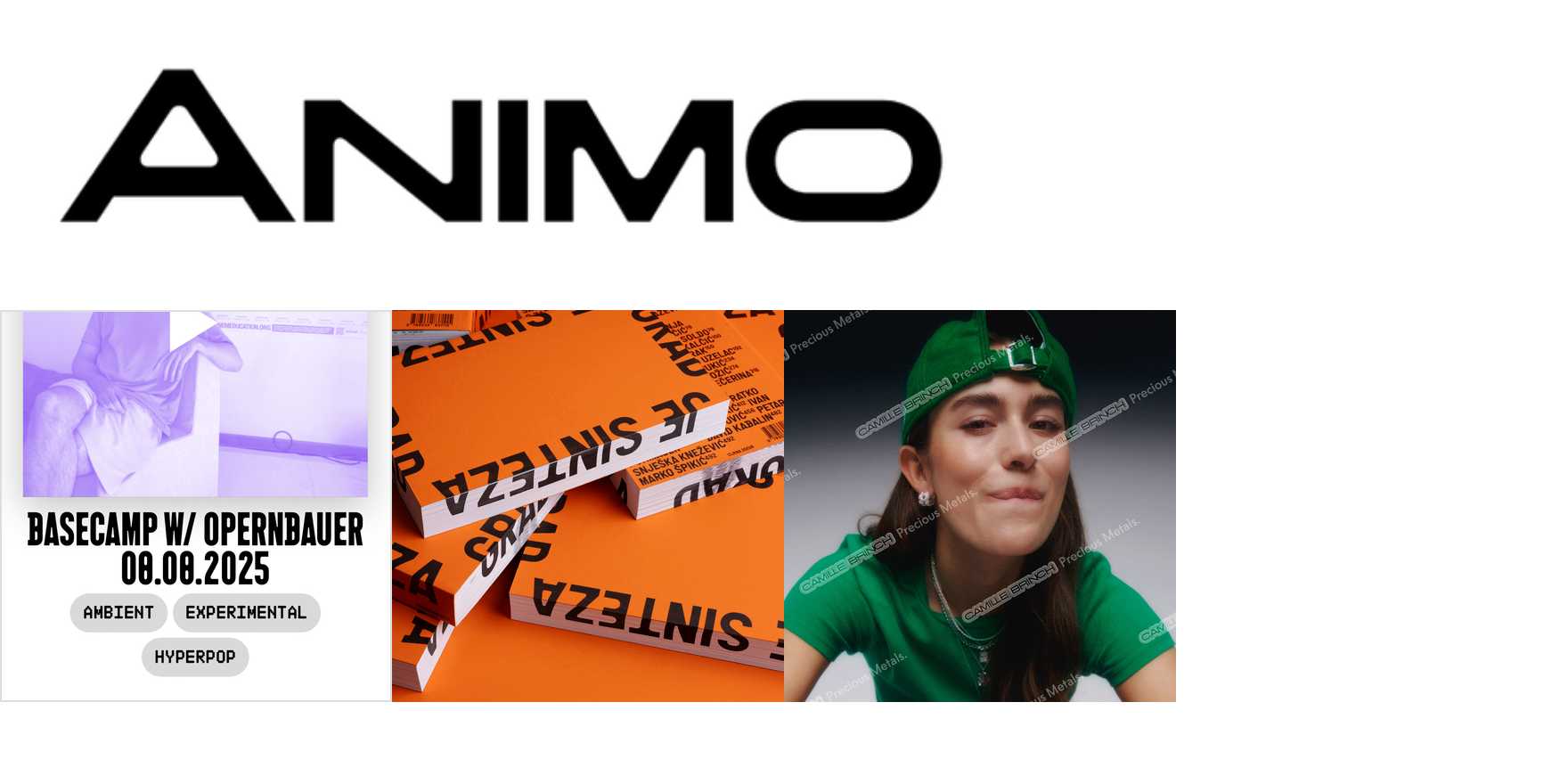 Animo in use - Fonts In Use