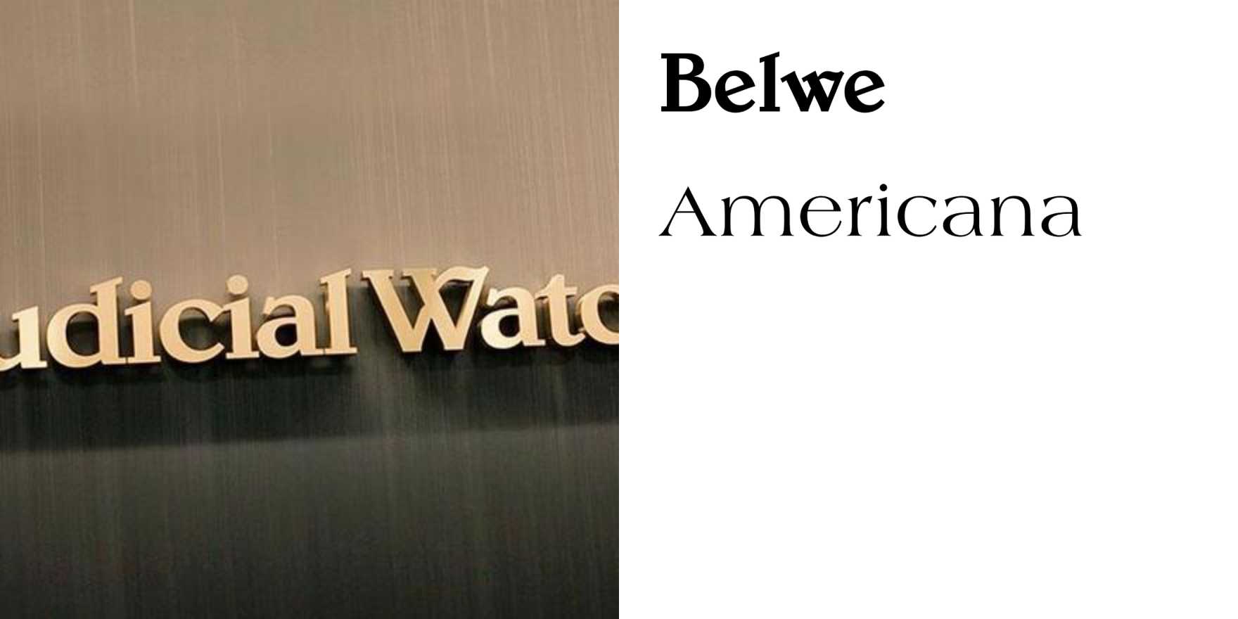Judicial Watch - Fonts In Use