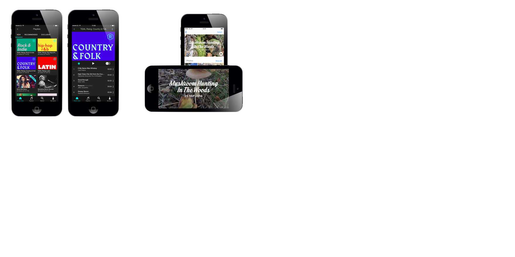 Alias_Apps - Fonts In Use