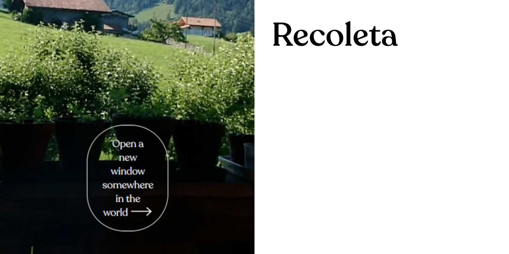 WindowSwap website - Fonts In Use