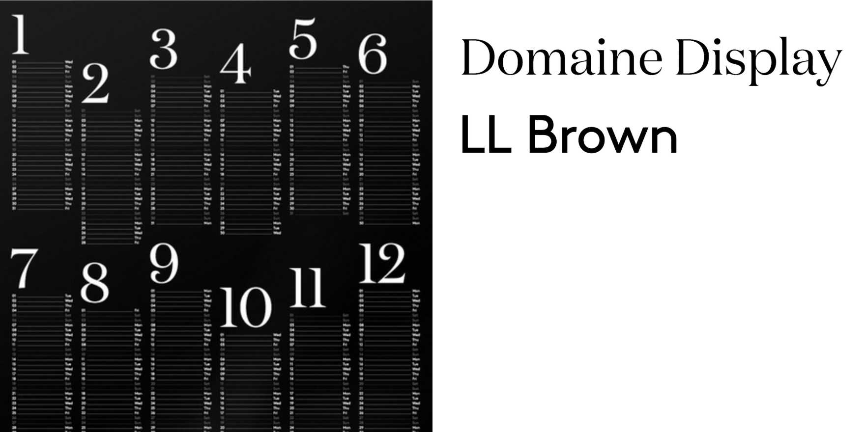 Collective - Fonts In Use