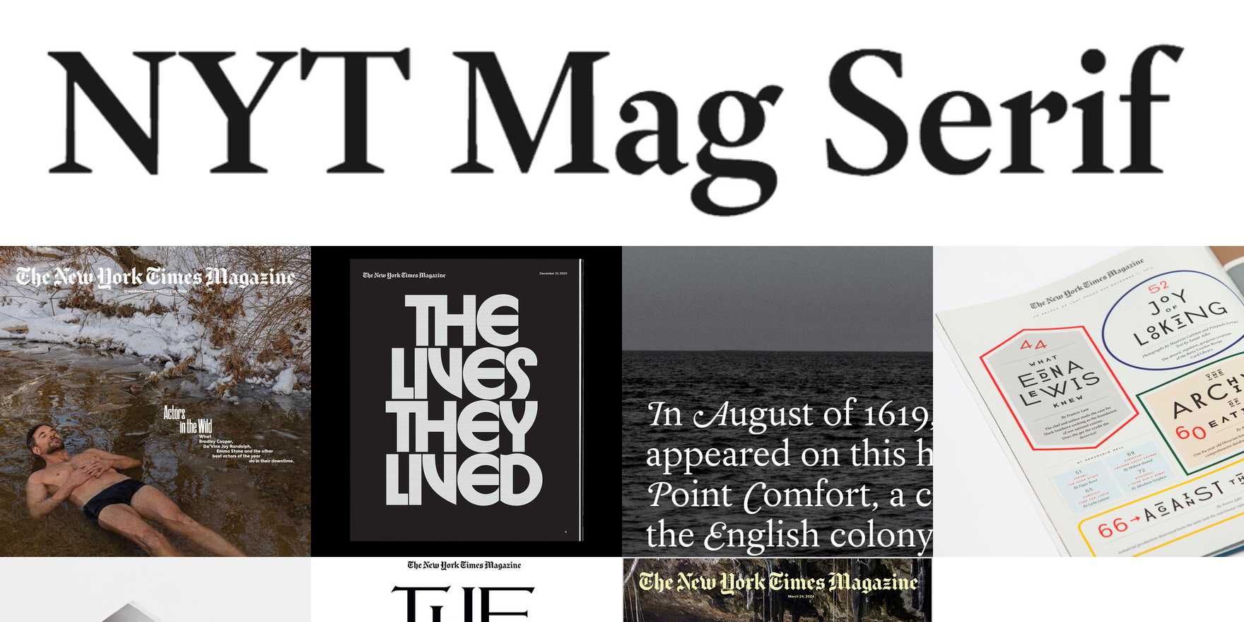 NYT Mag Serif in use - Fonts In Use