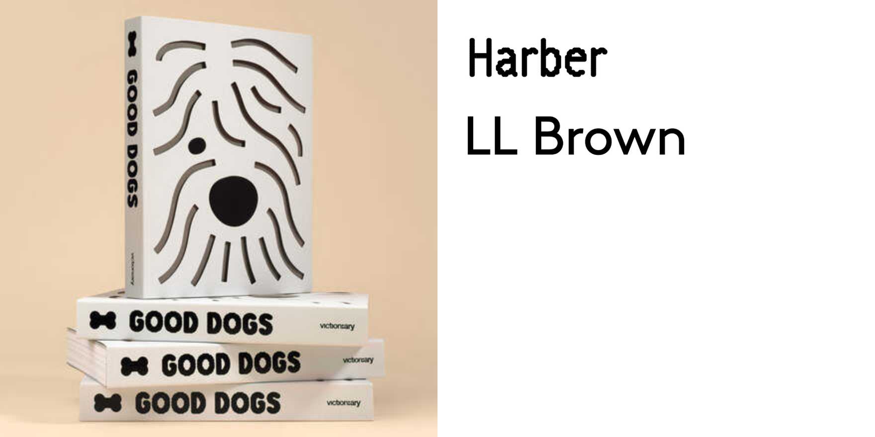Good Dogs - Fonts In Use