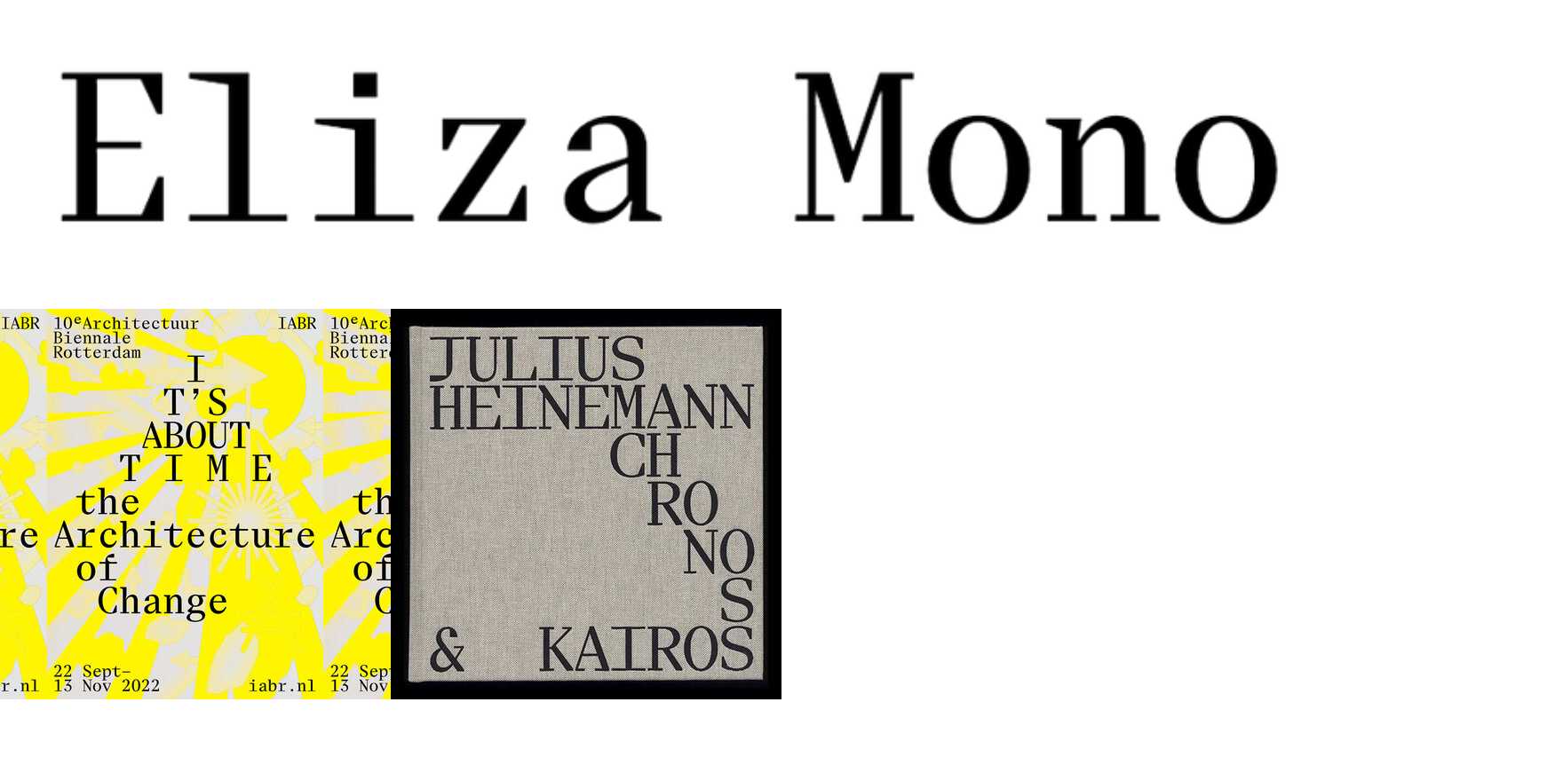 Eliza Mono in use - Fonts In Use