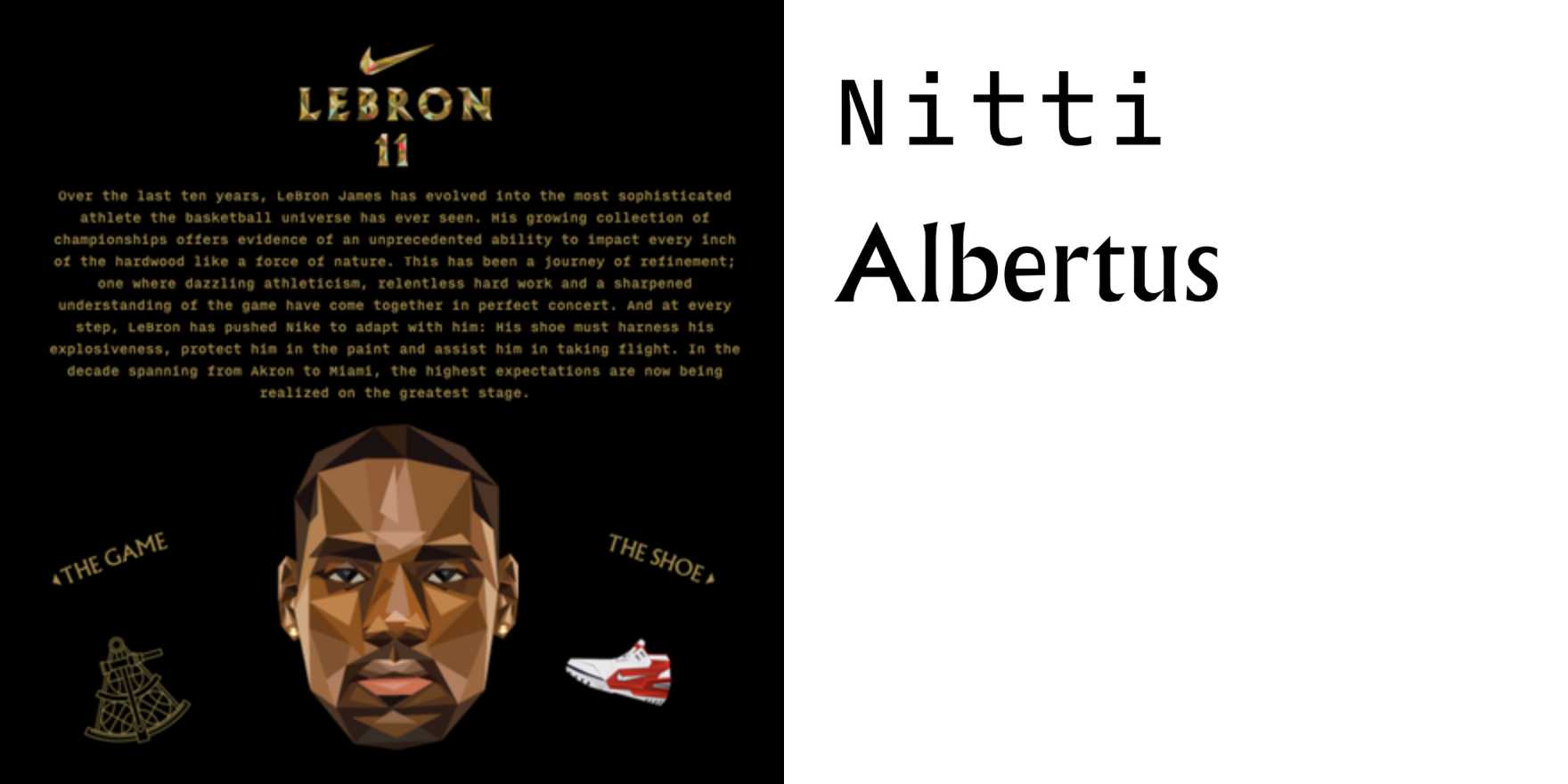 LeBron 11 website - Fonts In Use