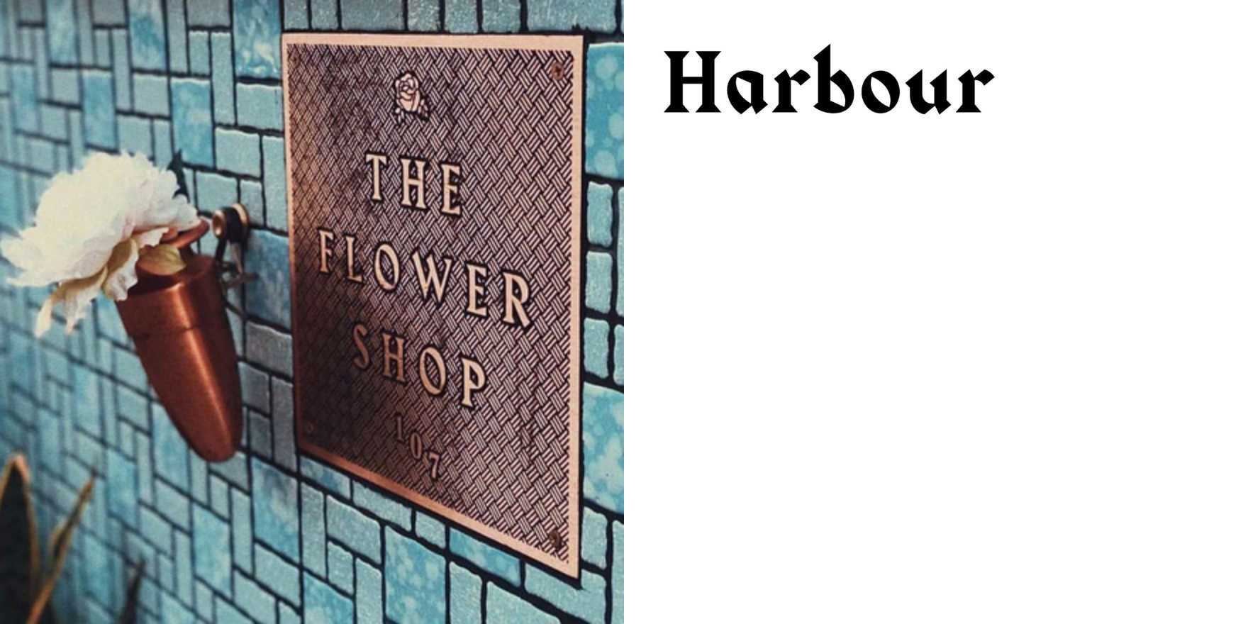 The Flower Shop - Fonts In Use